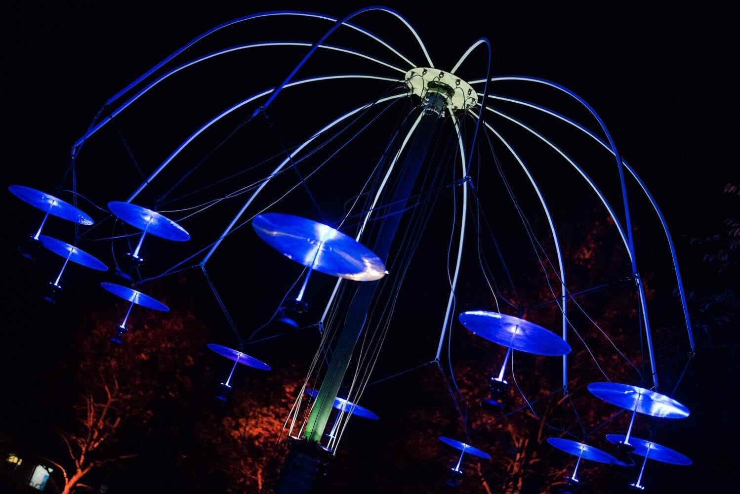 Seasonal Specials: Shimmer Tree by Dan Fox - Appetite